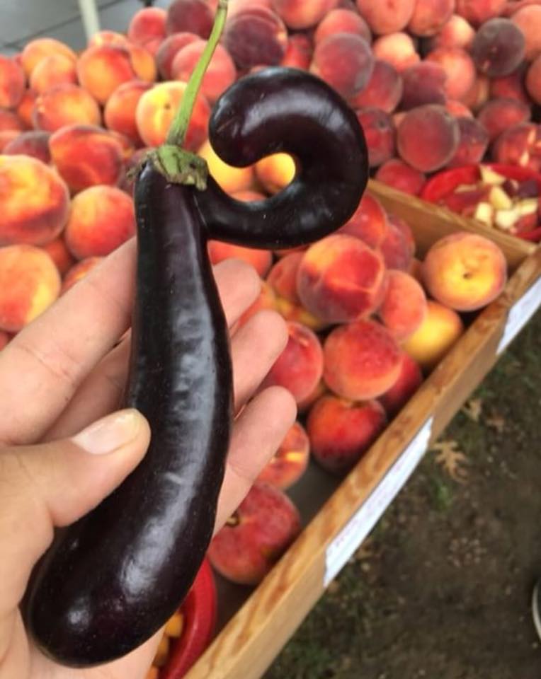 Imperfect Produce: Why You Should Love Ugly Food